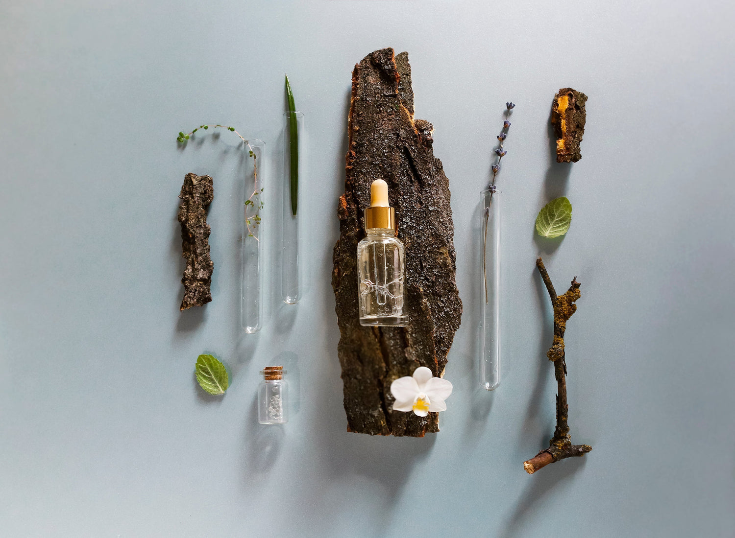 Beyond the Sample: The Sacred Gift of the Free Offerings Apothecary ...